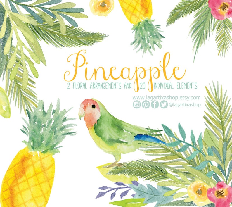 Tropical Pineapple Parrot Watercolor Clipart Floral PNG | Hawaiian ...