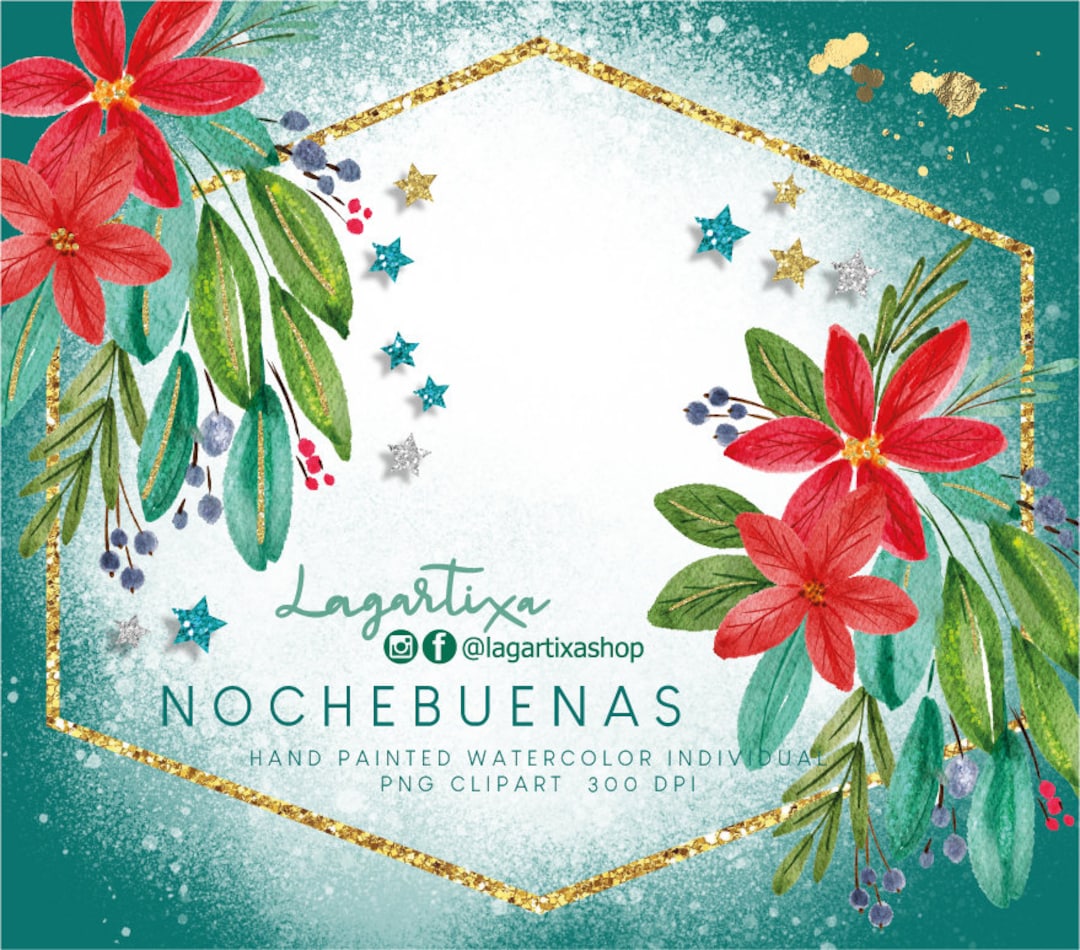 Christmas Watercolor PNG Clipart Hand Painted Poinsettia Florals Red ...