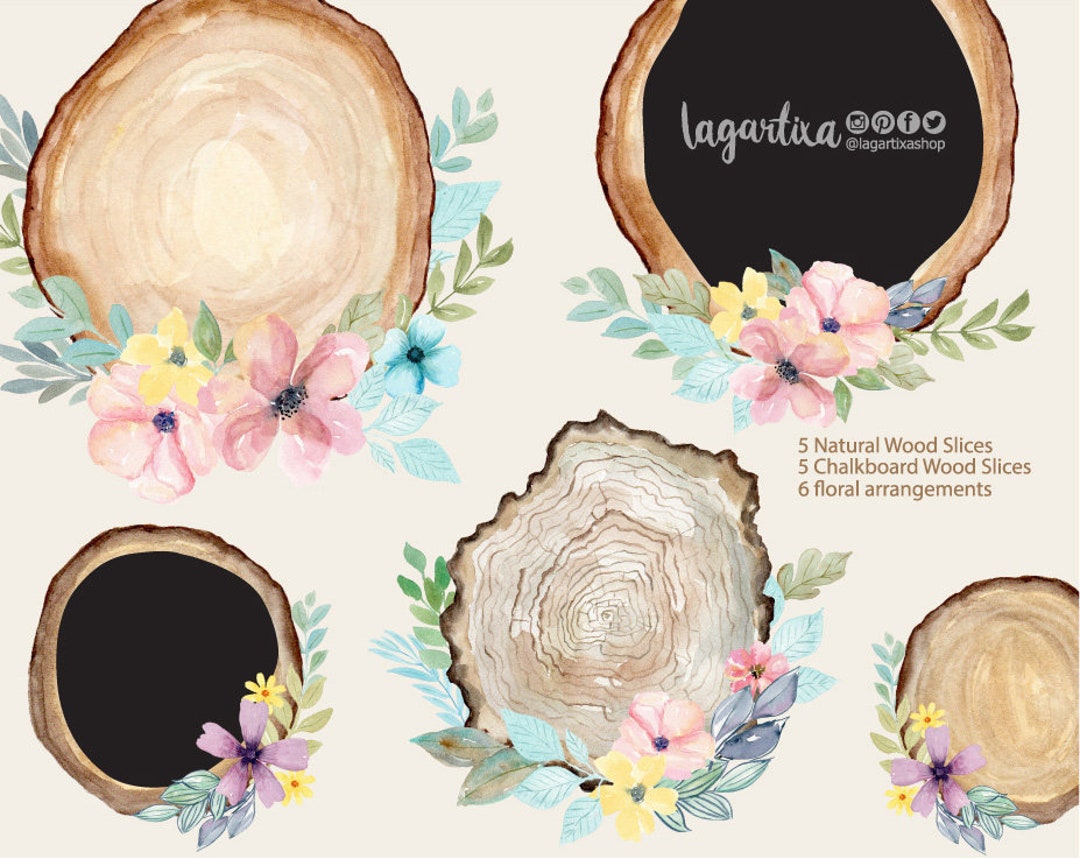 Wood Slices Watercolor PNG Clipart, Graphics, for Invitations, Blog ...