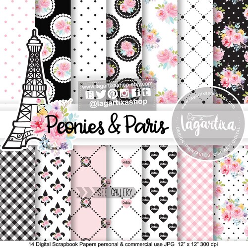 Paris Shabby Chic Digital Paper Pink Black Roses Classy - Etsy