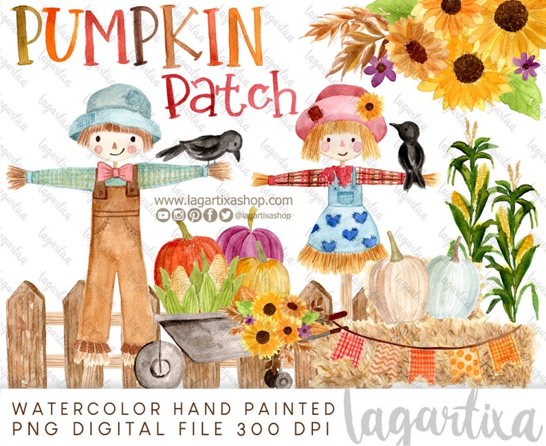 Pumpkin Patch Watercolor Clipart Fall Season Thanksgiving Art PNG ...