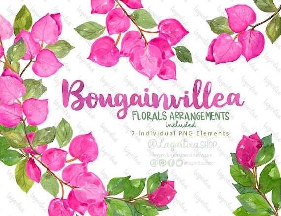 Bugambilias Birthday Cards