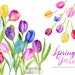 Easter Tulips Watercolor Clipart, Spring Floral PNG, Wedding Bouquet ...