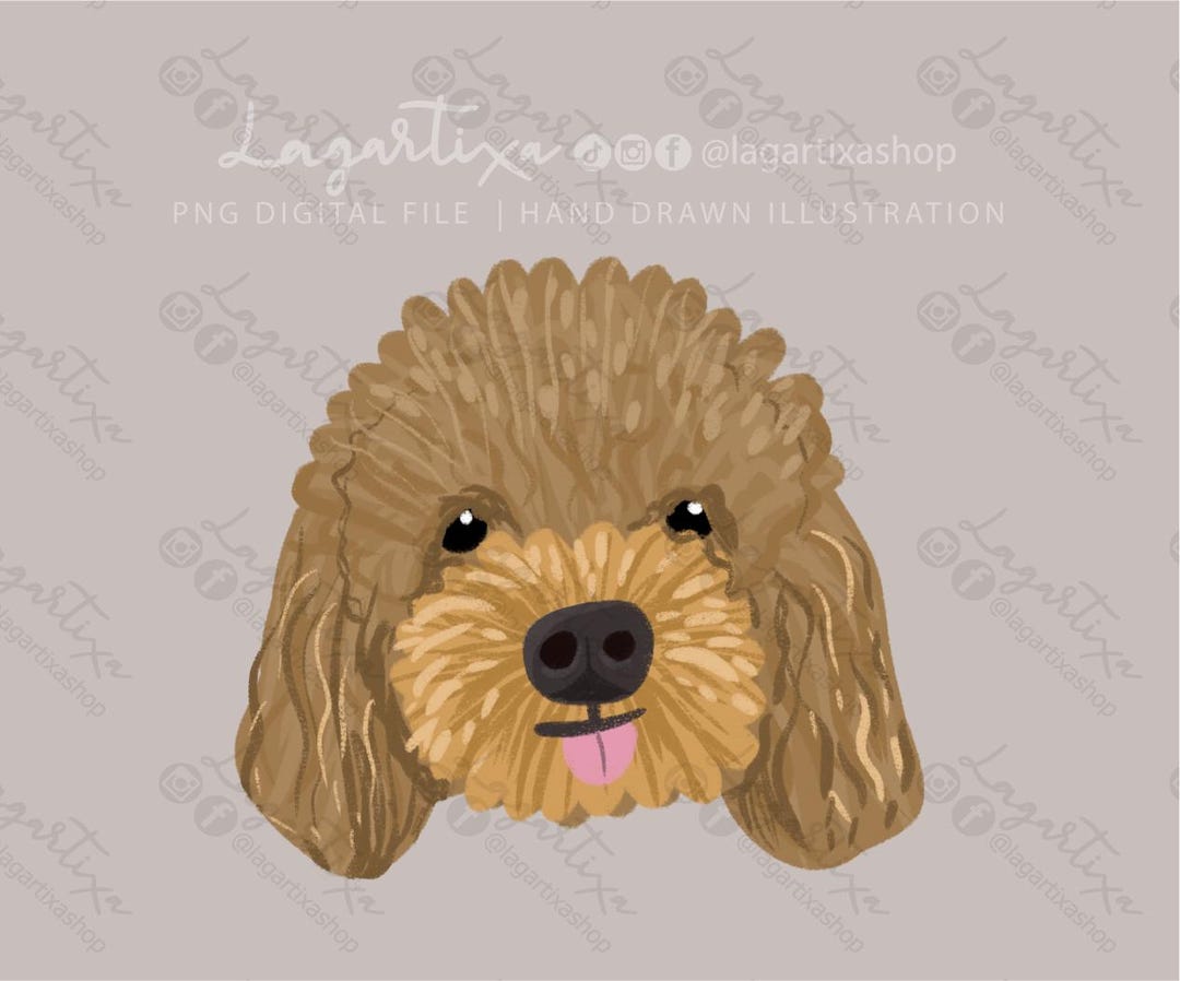 Cinnamon Brown French Poodle Face, Hand-drawn Digital Illustration ...