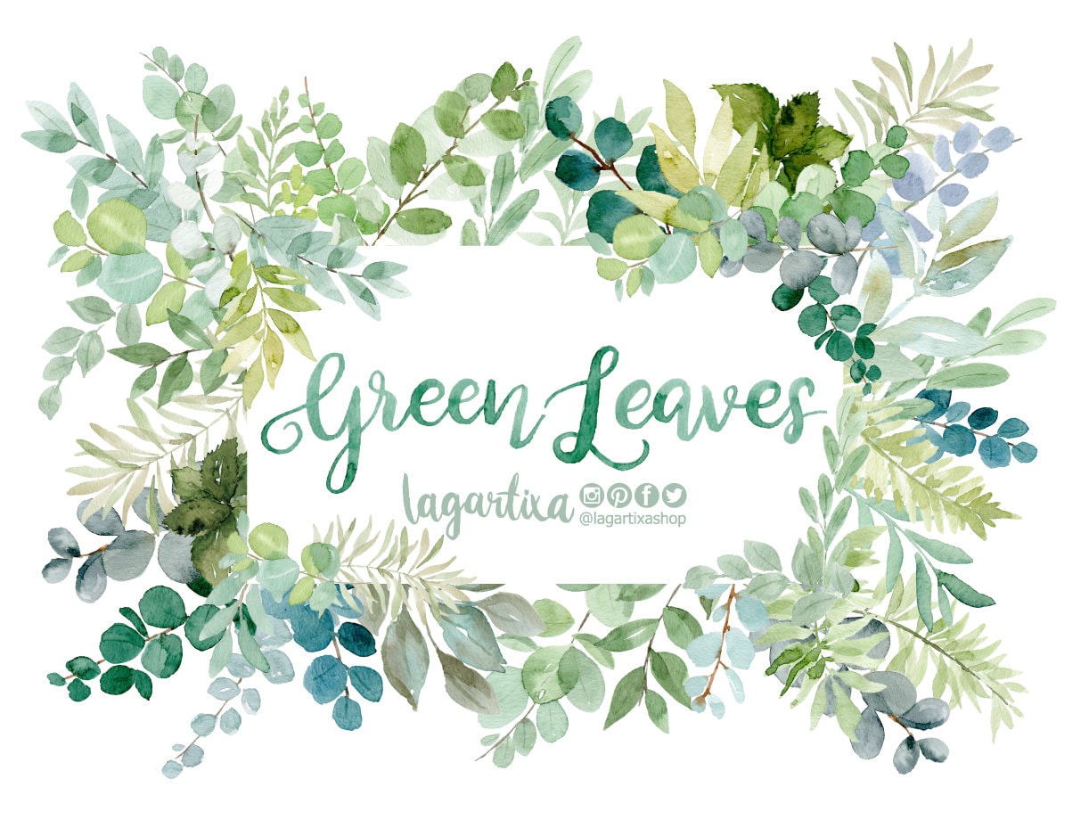 Hojas Verdes en Acuarela Marcos Coronas Eucalipto Olivo - Etsy México
