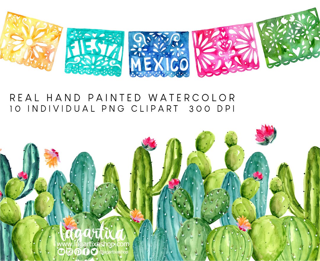 Cactus Succulents Plants Real Watercolor PNG Hand Painted Florals ...