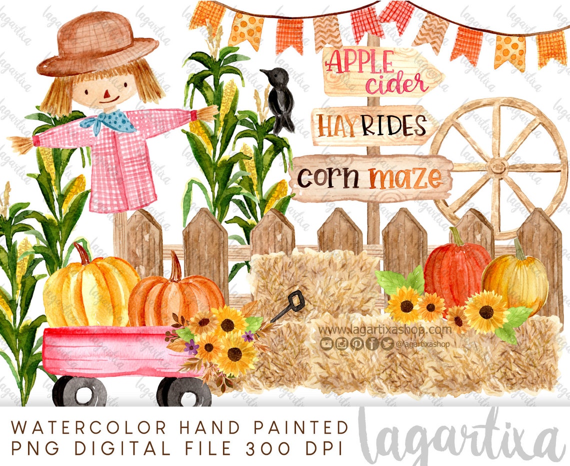 Pumpkin Patch Watercolor Clipart Fall Season Thanksgiving Art - Etsy