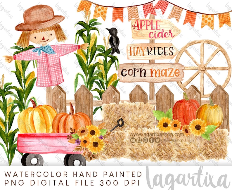Pumpkin Patch Watercolor Clipart Fall Season Thanksgiving Art PNG ...