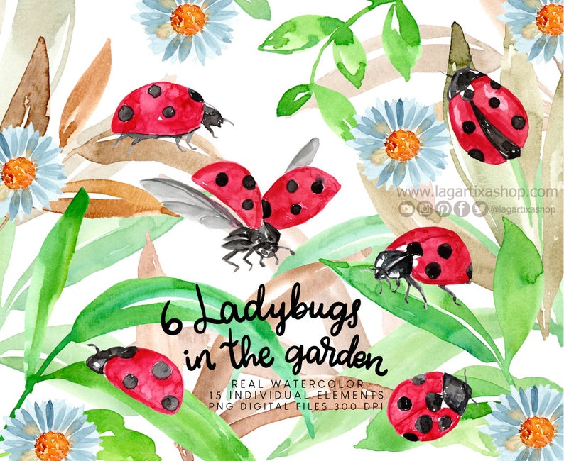 Ladybug in Green Plants Real Watercolor, Flying, Spring Bugs, Easter ...