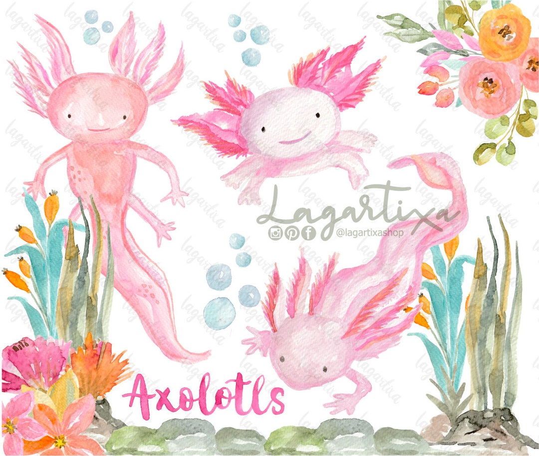 Watercolor Axolotl Hand Painted PNG Florals Clipart Plants - Etsy