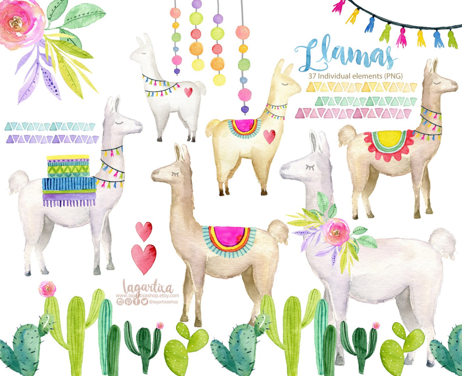 NO Drama Llama Watercolor Alpaca Cute Clip Art Png Hand - Etsy