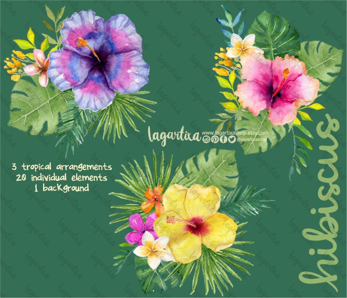 Hibiscus Tropical Watercolor Clipart Floral PNG Bouquet - Etsy