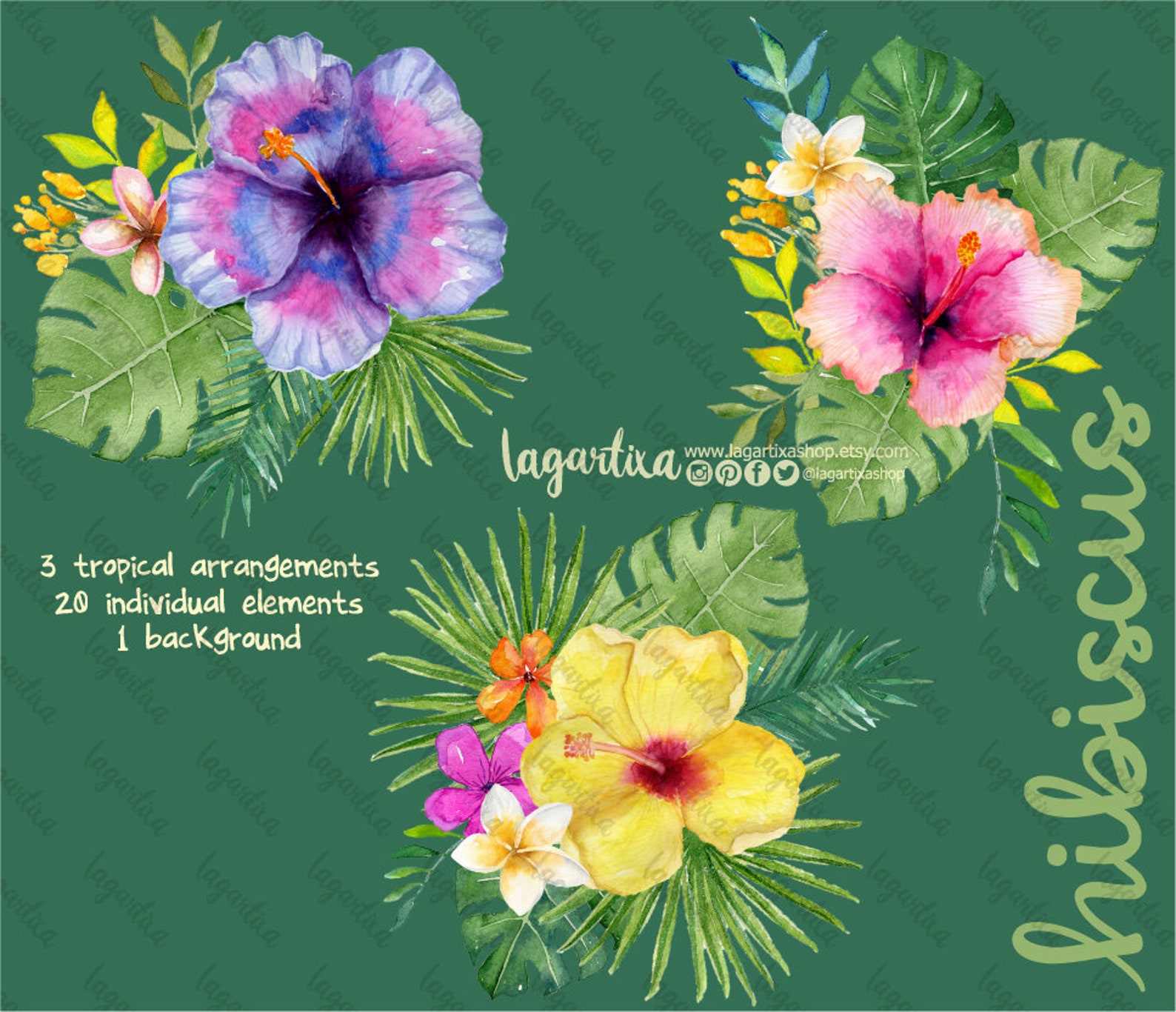 Hibiscus Tropical Watercolor Clipart Floral PNG Bouquet - Etsy