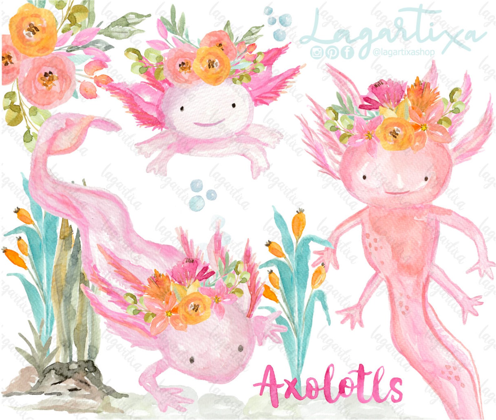 Watercolor Axolotl, Hand Painted PNG Florals Clipart, Plants Aquarium ...
