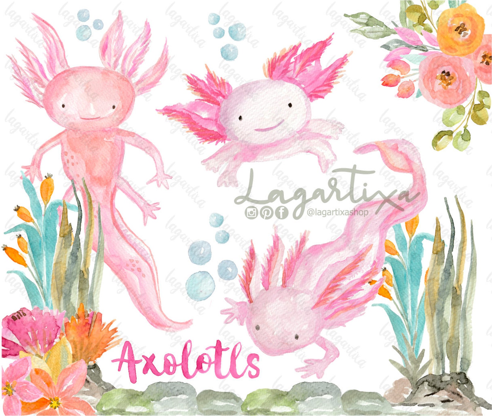 Watercolor Axolotl, Hand Painted PNG Florals Clipart, Plants Aquarium ...