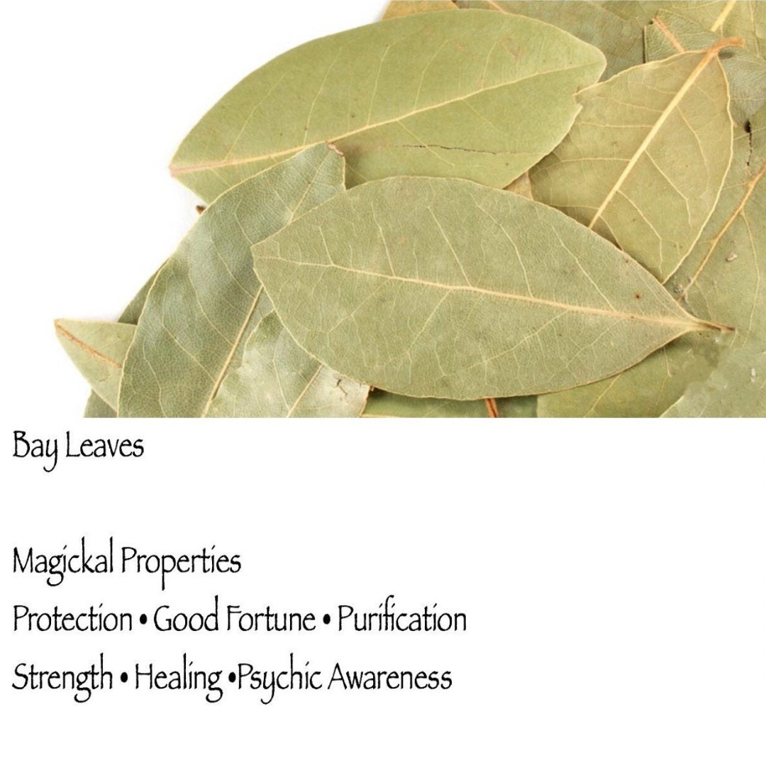 Bay Leaves • Laurus Nobilis • Magical Herbs • Protection Herbs ...