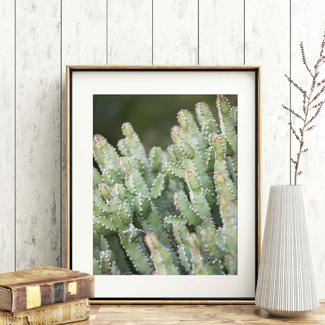 Soft Green Cactus Photo, Cacti Poster, Digital Download Photography ...