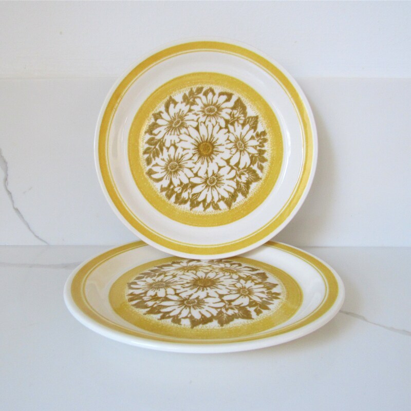 1970s Dinnerware - Etsy