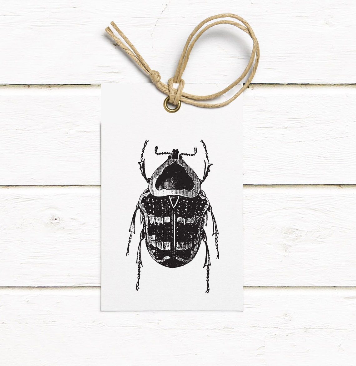 Printable Bug Favor Tags Bugs or Insects Instant Download - Etsy