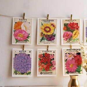 Vintage Flower Seed Packet Banner: Floral Bridal Shower Decor (digital ...