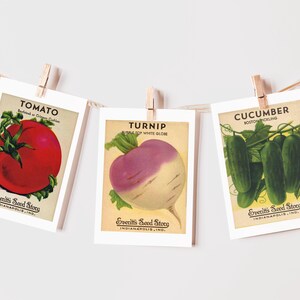 PRINTABLE Vintage Seed Banner, Farmers Market, Veggies, Fresh off the ...