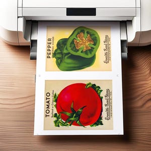 PRINTABLE Vintage Seed Banner, Farmers Market, Veggies, Fresh off the ...