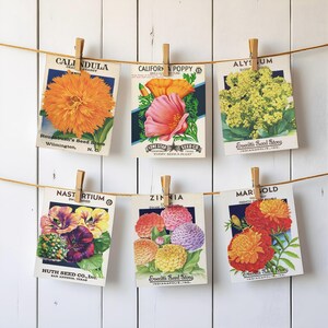 PRINTABLE Vintage Seed Banner, Farmers Market, Fruit and Vegetables ...