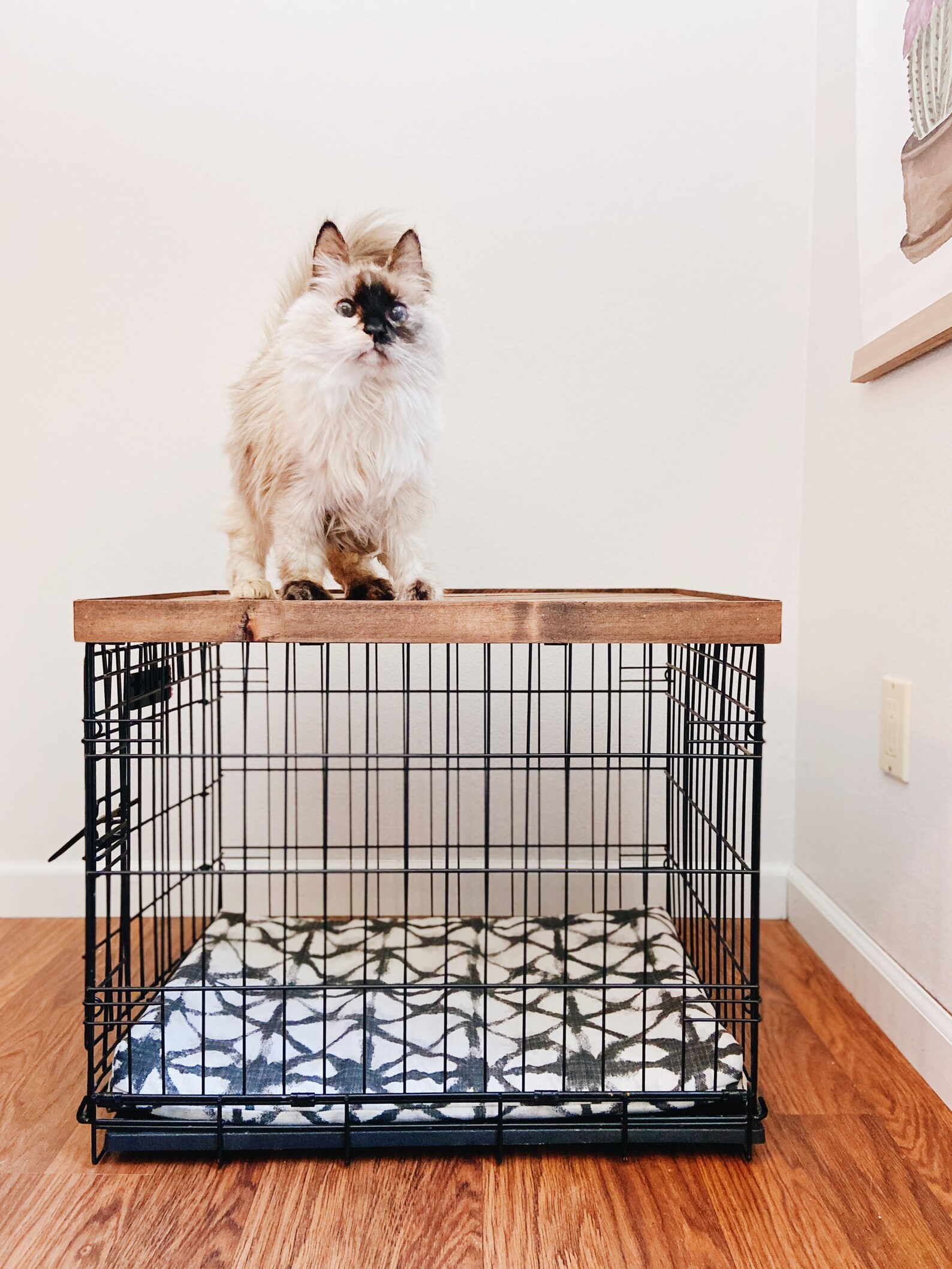 24” Crate Table Topper - Wood Chevron Art Kennel Cover - Modify Your ...