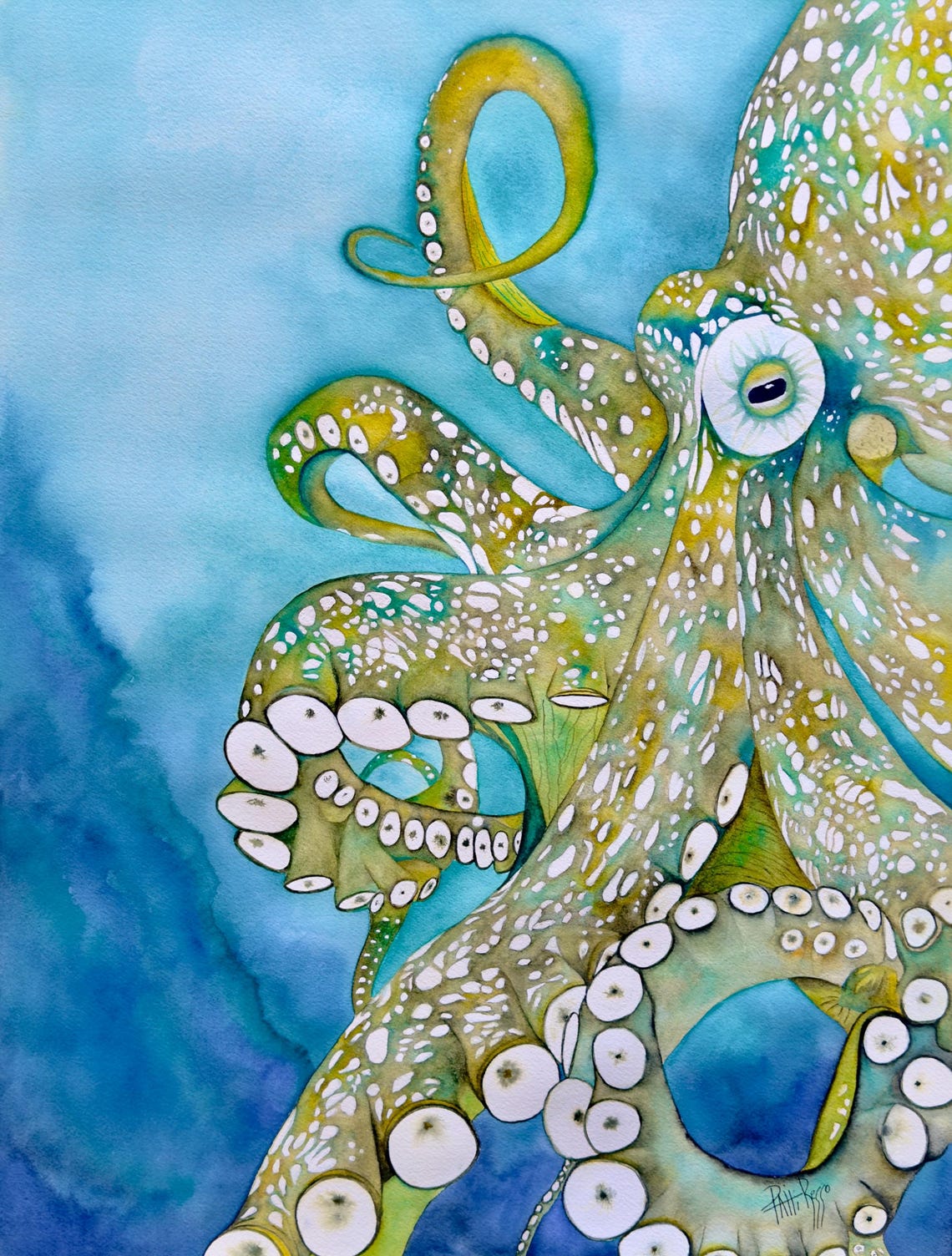 Spot the Octopus - Etsy