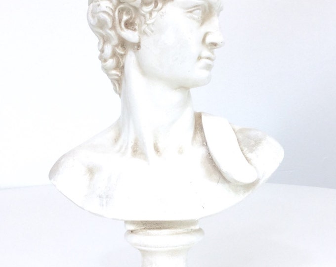 Vintage Bust of David Plaster Statue - Etsy