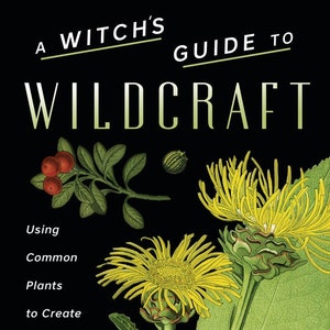 A Witch's Guide to Wildcraft Book Using Common Plants for | Etsy