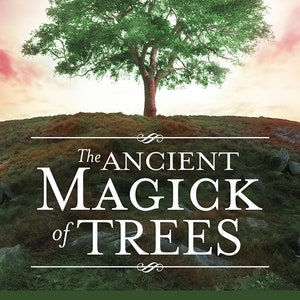 The Ancient Magick of Trees Book Tree Field Guide for Magic & Medicinal ...