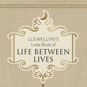 Little Book of Life Between Lives Reincarnation Magick Witch Craft ...