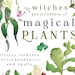 The Witches' Encyclopedia of Magical Plants Book History Folklore ...
