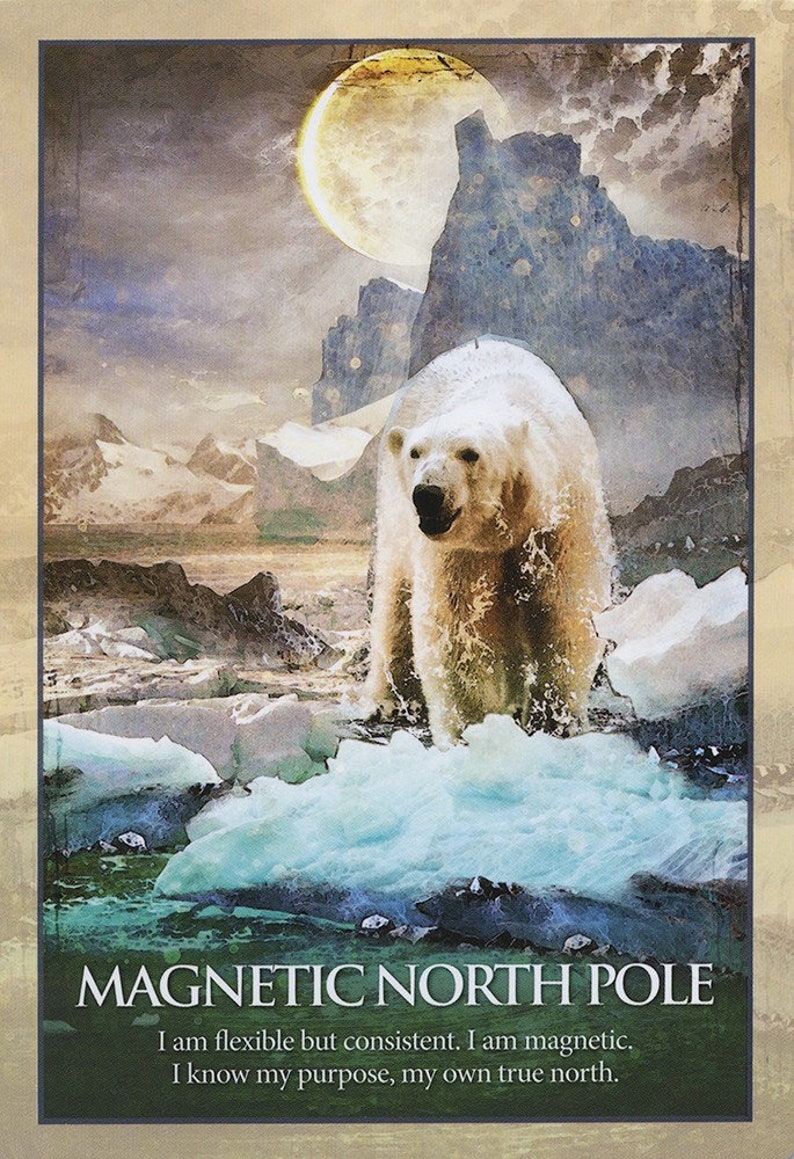 Earth Power Oracle Cards & Guidebook Set Tarot Card Deck Book | Etsy