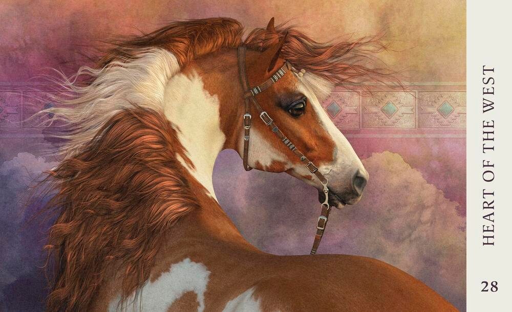 Horse Wisdom Oracle Kit Card Deck & Guidebook Set Cat Tarot Cards and ...