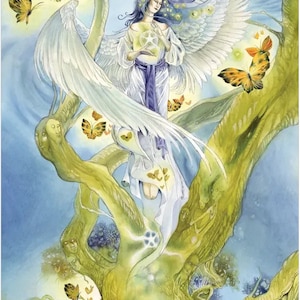 Tree Keepers Oracle Cards & Guidebook Set Stephanie Law Fantasy Art ...