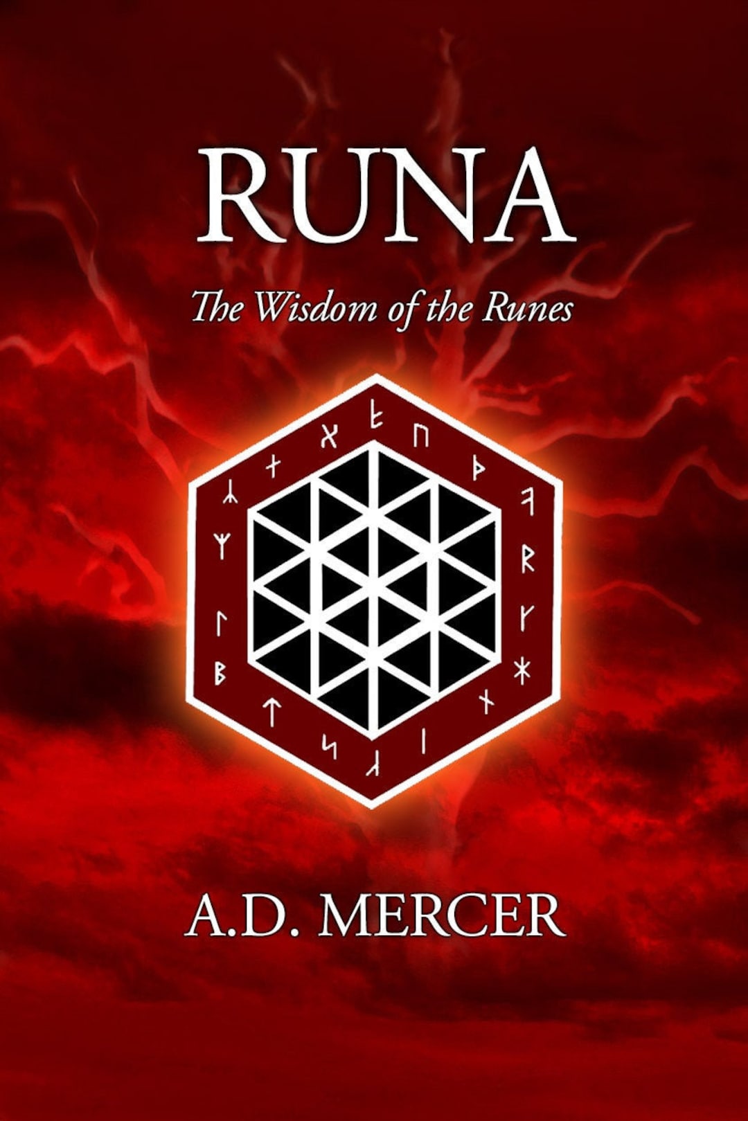 Runa Book Wisdom of the Runes Magic Witchcraft Witch Craft Runic Magick ...