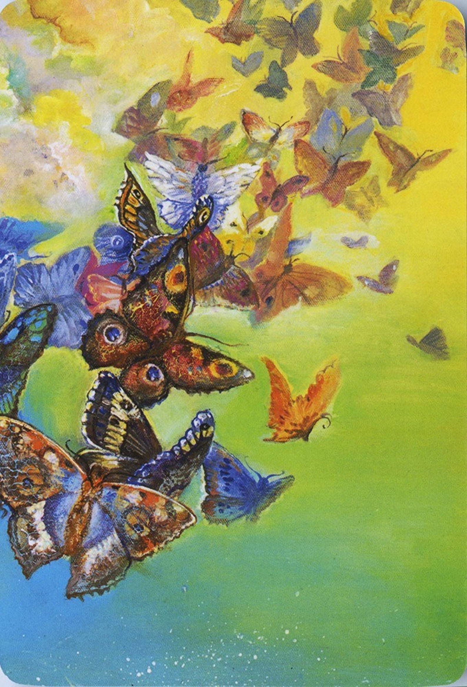 Nature's Whispers Oracle Cards & Guidebook Set Josephine Wall Tarot ...