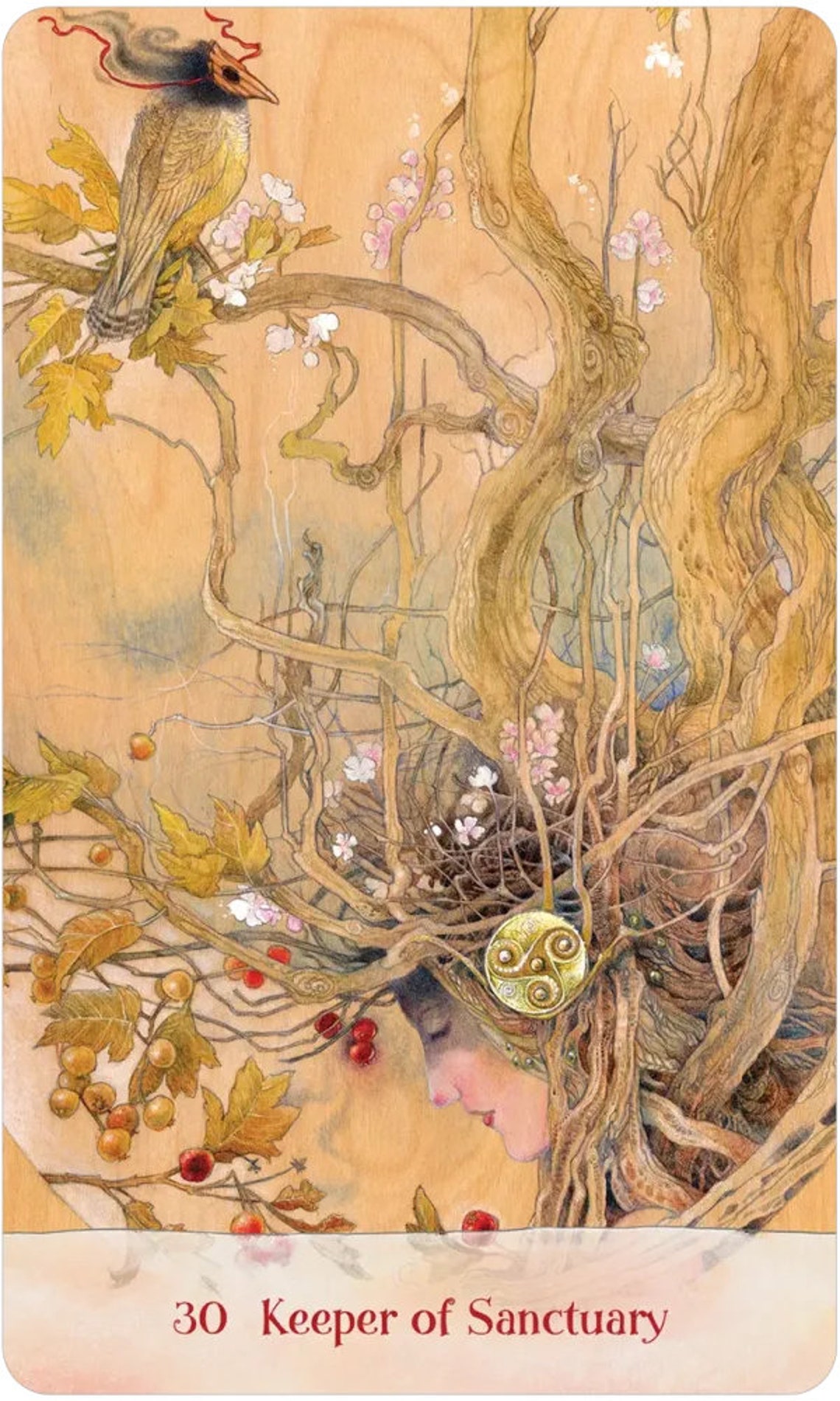 Tree Keepers Oracle Cards & Guidebook Set Stephanie Law Fantasy Art ...
