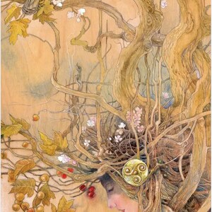 Tree Keepers Oracle Cards & Guidebook Set Stephanie Law Fantasy Art ...