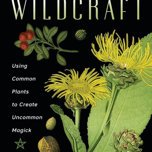 A Witch's Guide to Wildcraft Book Using Common Plants for - Etsy