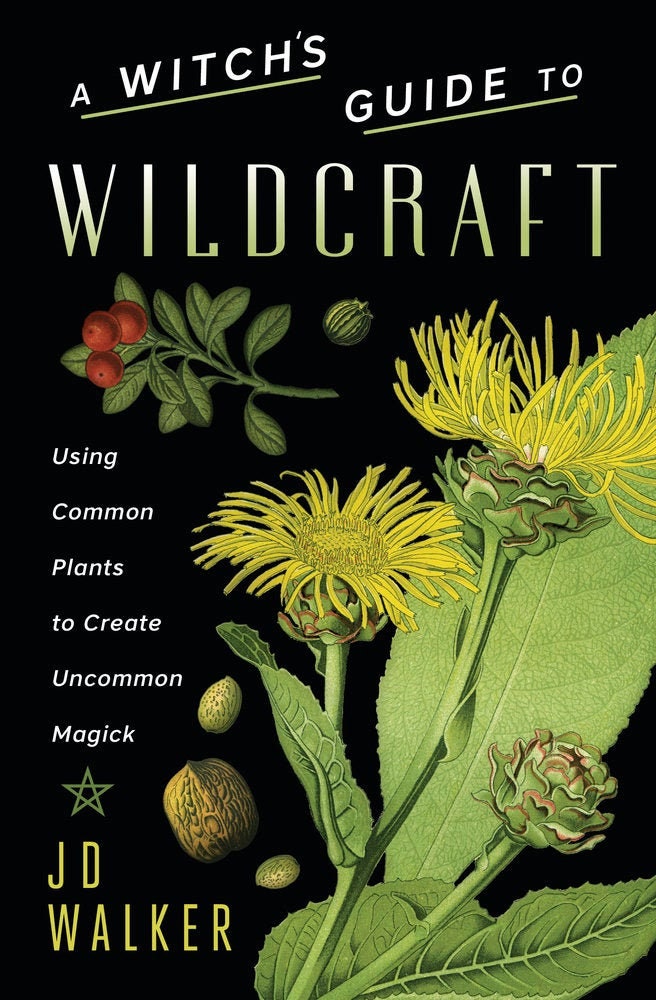 A Witch's Guide to Wildcraft Book Using Common Plants for - Etsy