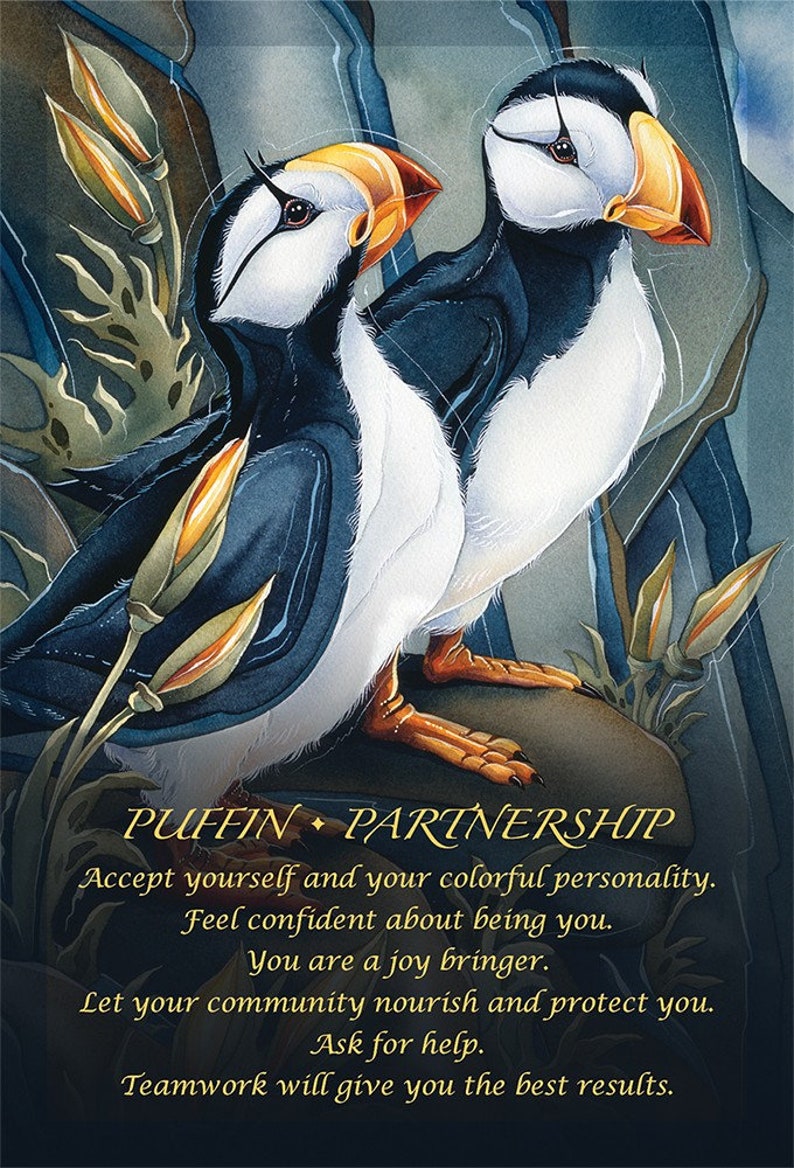 Spirit of the Animals Oracle Cards & Guidebook Set by Jody Bergsma ...