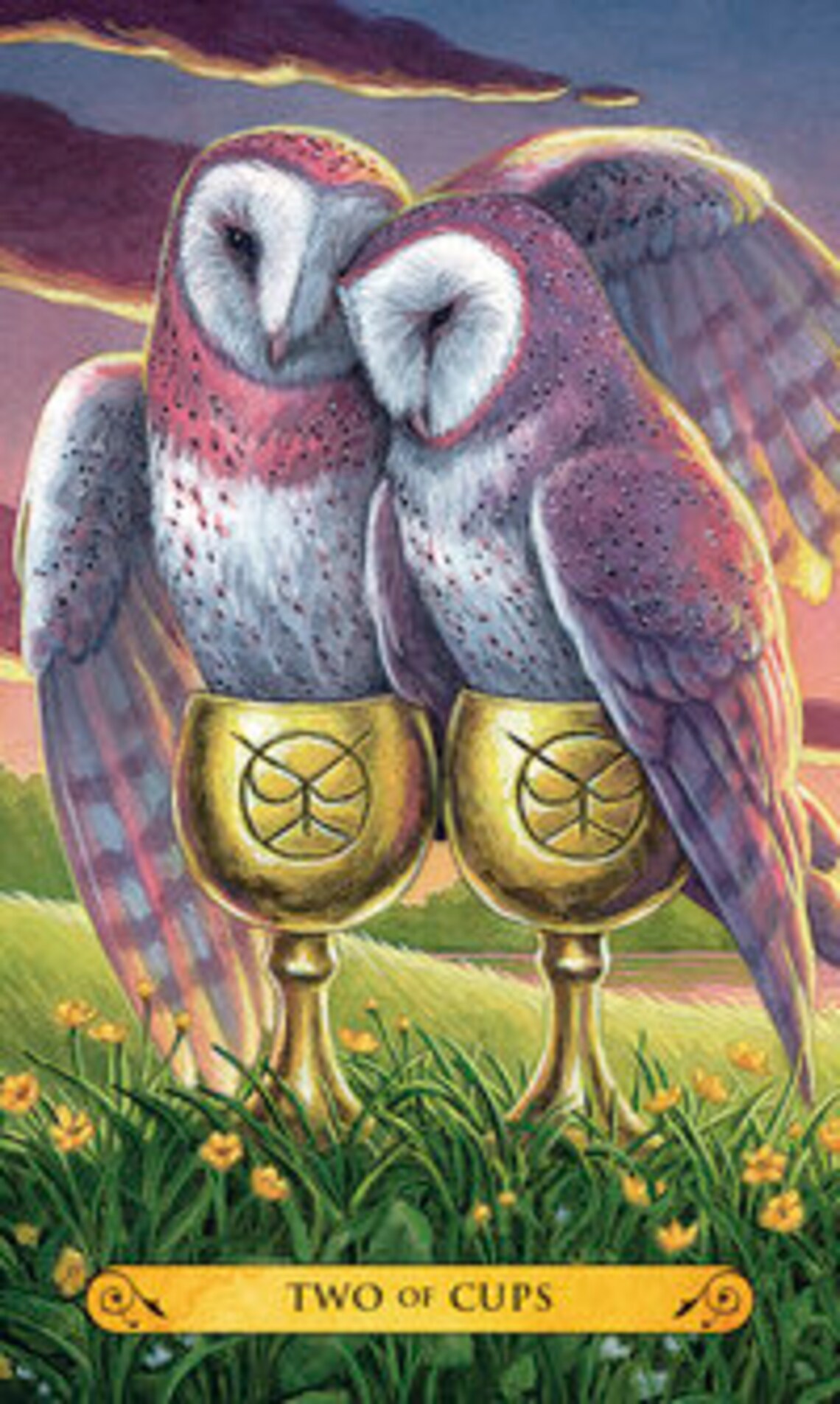 Tarot of the Owls Kit Card Deck & Guidebook Set Oracle Cards and Book ...