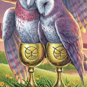 Tarot of the Owls Kit Card Deck & Guidebook Set Oracle Cards and Book ...