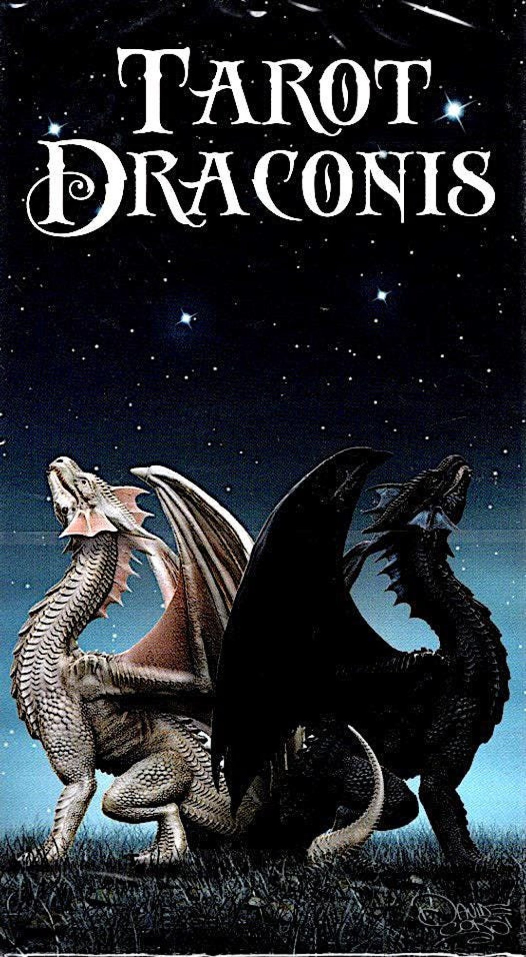 Tarot Draconis Deck Cards Set Dragon Fantasy Art Oracle Card Booklet Dragons Magick Magic Pagan ...