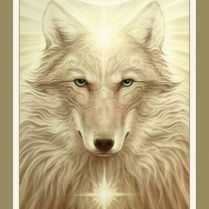 White Light Oracle Cards & Guidebook Set Tarot Card Deck Book Kit ...