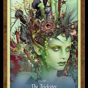 Faery Forest an Oracle of the Wild Green World Cards and Guidebook Set ...