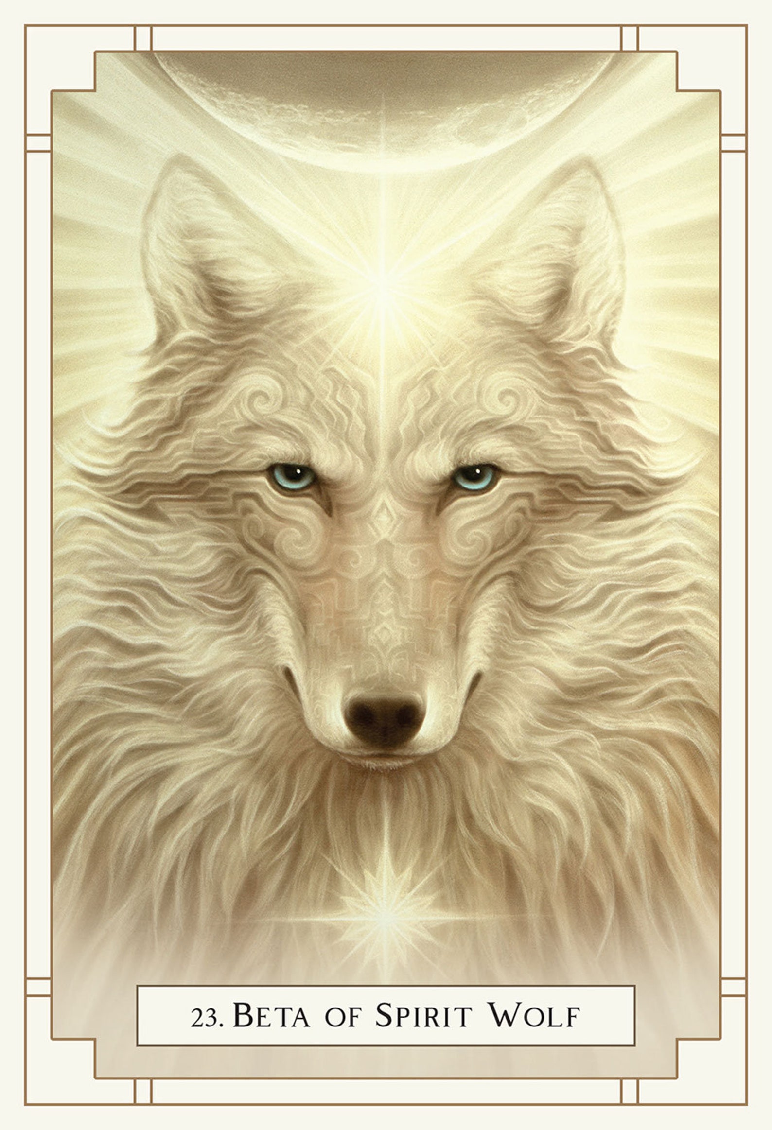 White Light Oracle Cards & Guidebook Set Tarot Card Deck Book Kit ...